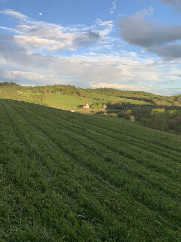 Farmers & Friends Marketplace moves to Ross Farms - Observer-Reporter